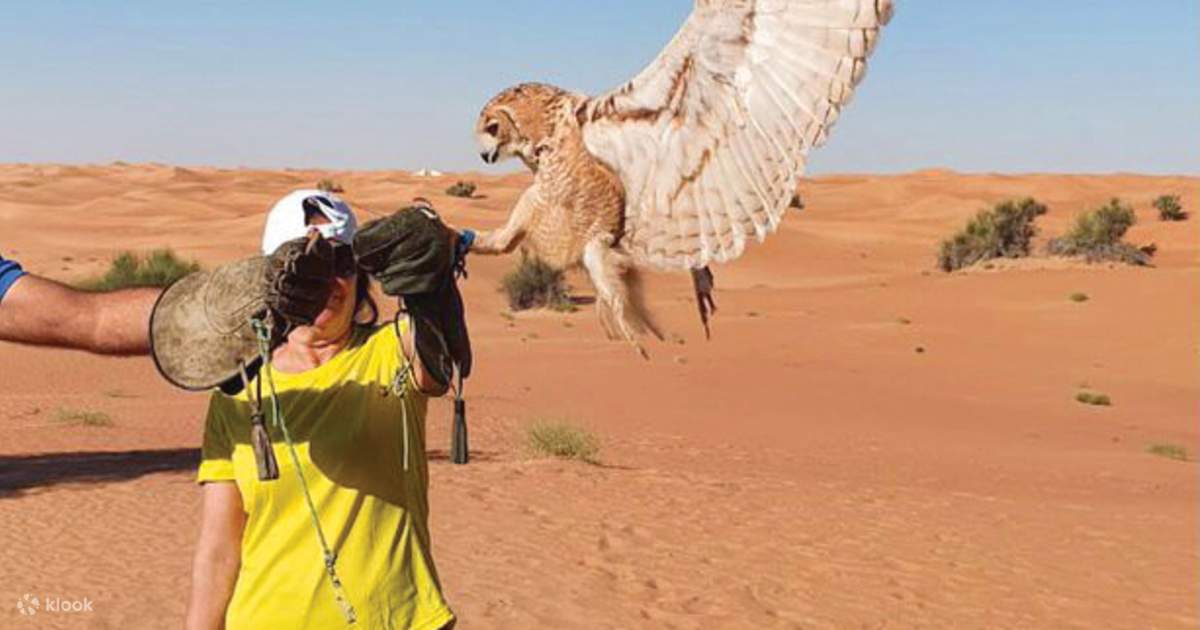 Morning Falconry Experience in Abu Dhabi - Klook